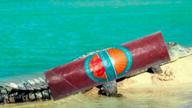 крокодила колбаса