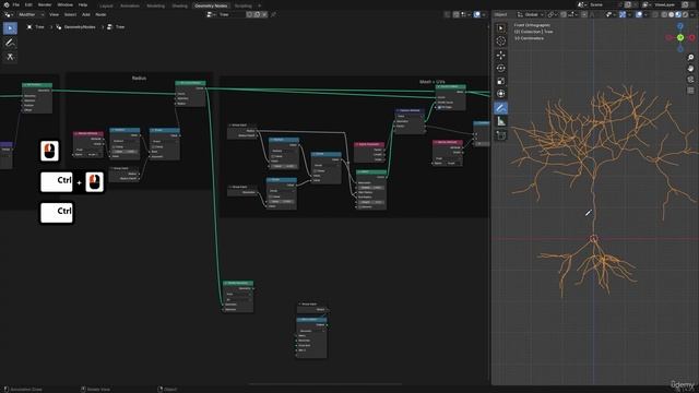 12 - Lesson 11 Leaf Distribution Basics