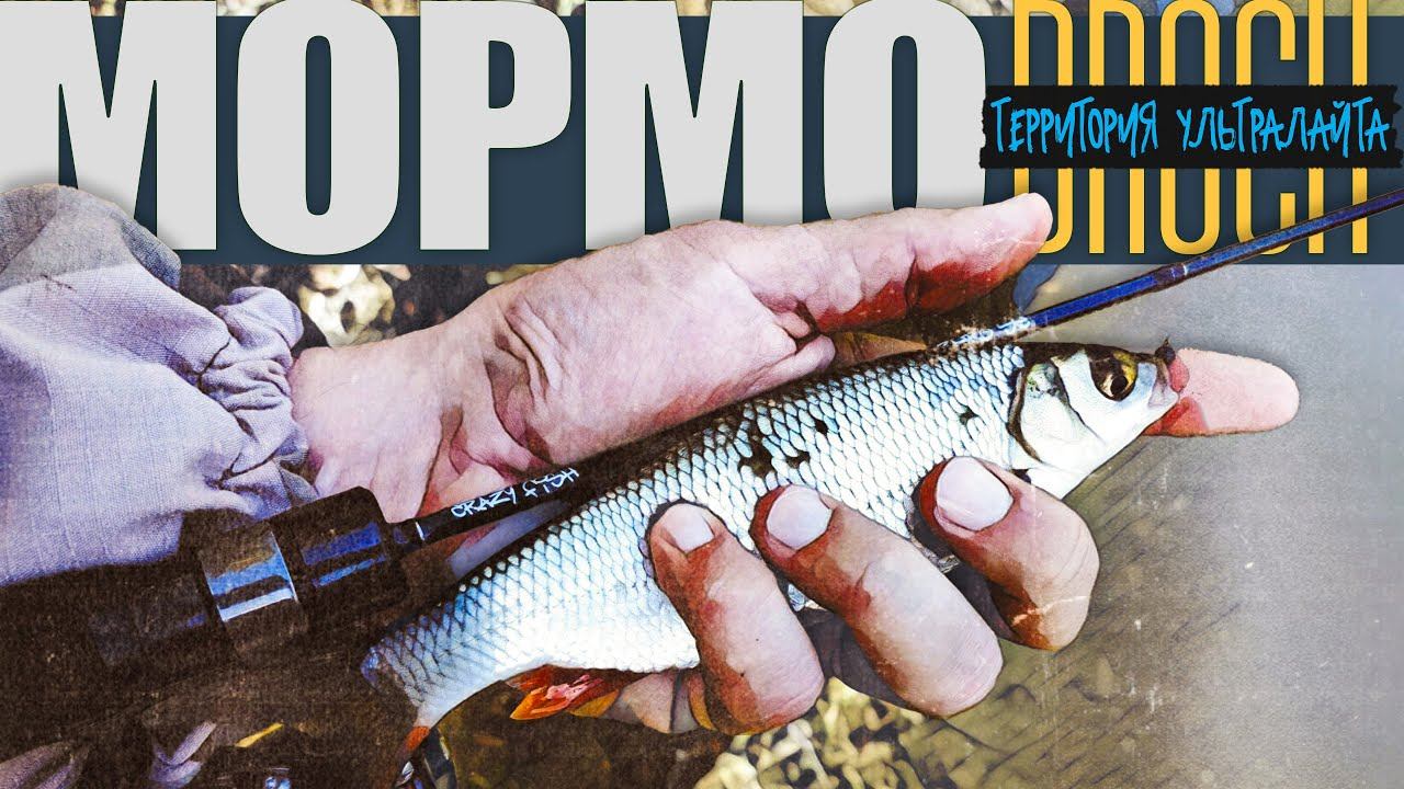 РЕКА В КОТОРОЙ ПОЛНО РЫБЫ ► МОРМЫШИНГ