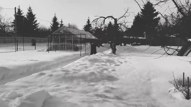 Цикл: Дертье | Сезон 1 | Как Дертье шашлык пёк (2024)