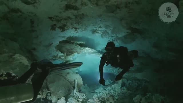 ПРОРКЛЯТИЕ МАЙЯ