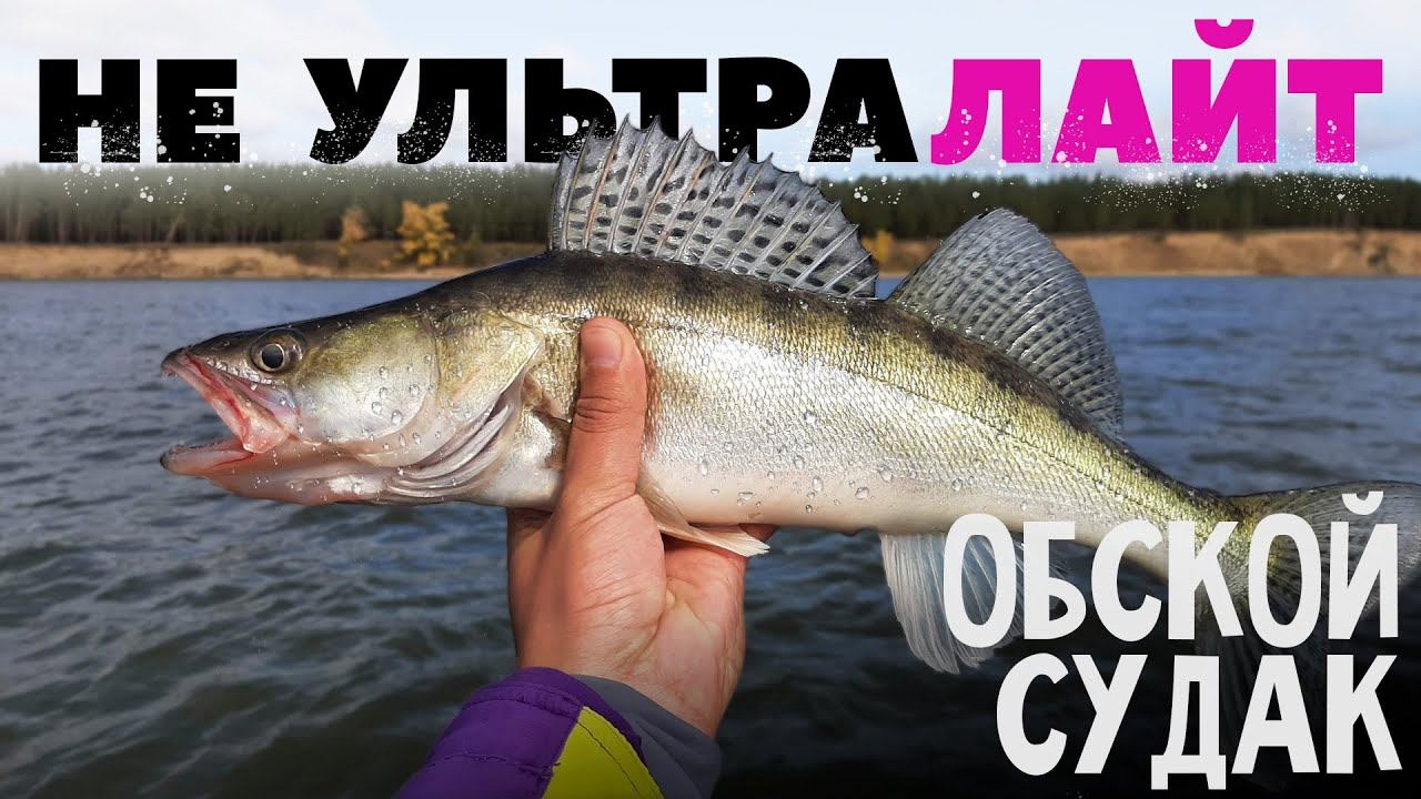 КАК МЫ ЗАКРЫЛИ СЕЗОН СУДАКА ► НЕ УЛЬТРАЛАЙТ ► Архив