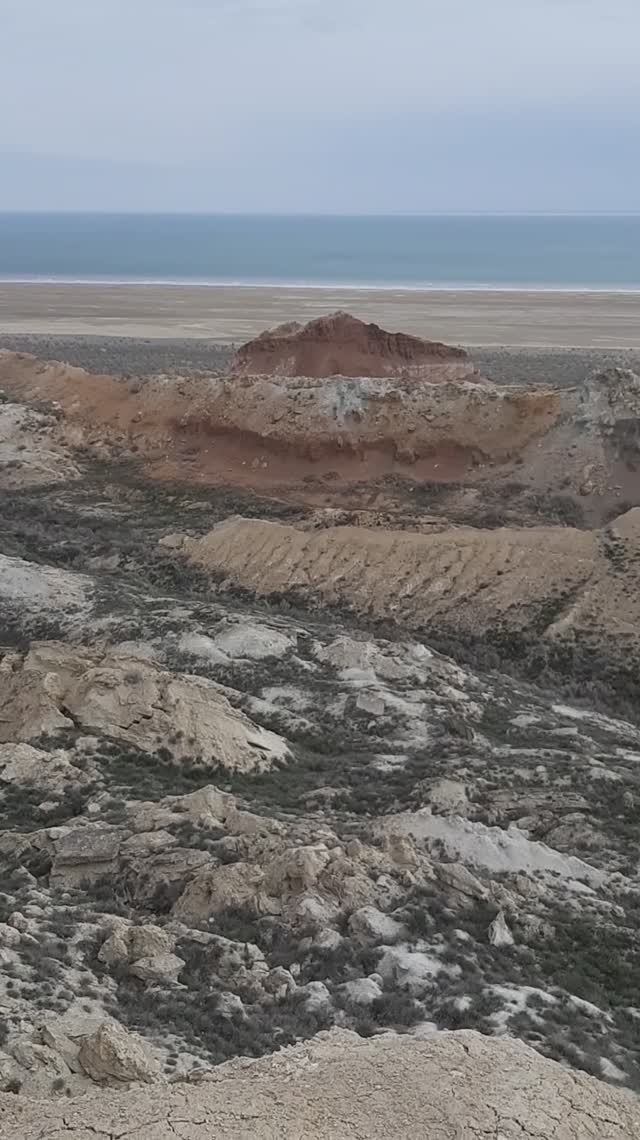 Приехал искупаться на Аральское море...