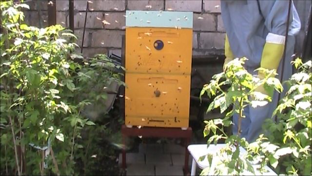 Расширение корпусом вниз!!!