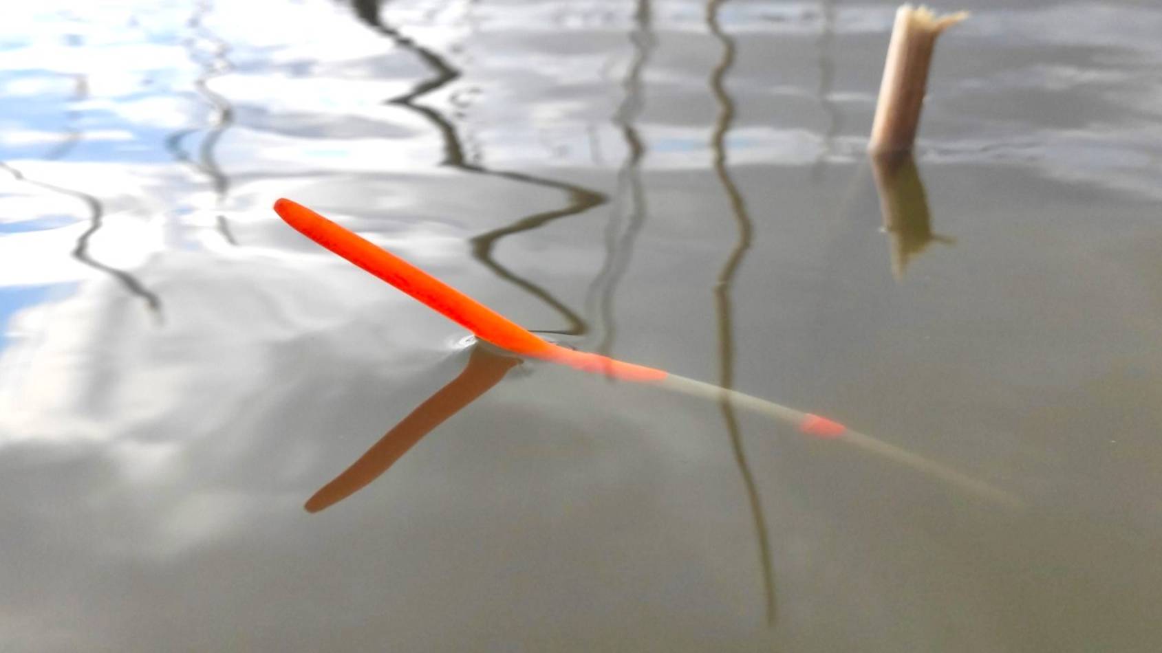 100 кг на удочку 😮КАРАСИ ЛЕЩИ САЗАНЫ... ТАКОЕ РАЗ В ЖИЗНИ!!!! РЫБАЛКА НА ПОПЛАВОК