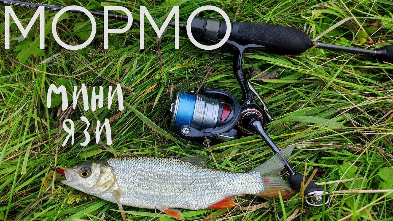 Нашел язя на малой речке ► МОРМЫШИНГ