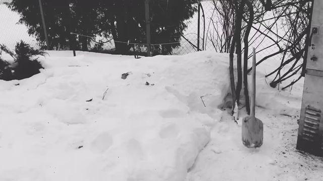 Цикл: Дертье | Сезон 1 | Как нору Дертье засыпало (2024)