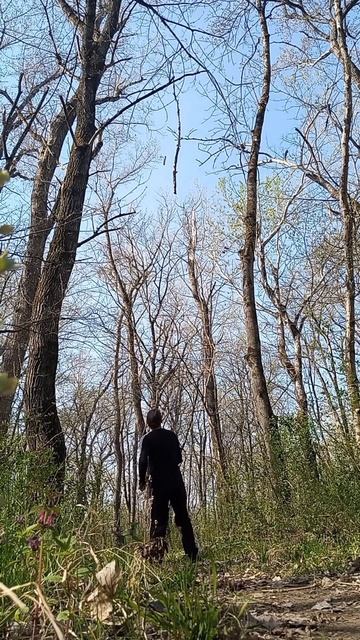 Саня Adidas и лесные проблемы