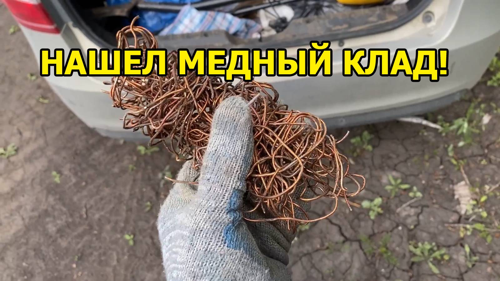 Нашёл медный клад в лесопосадке
