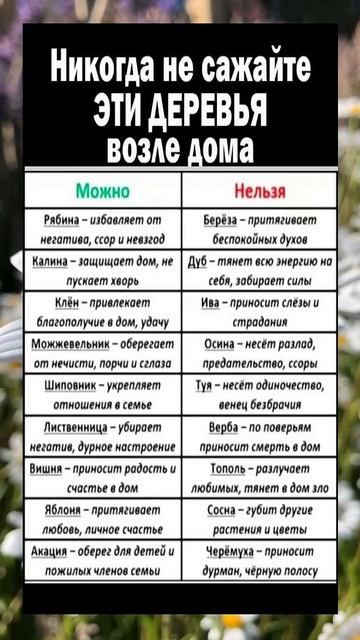 ✨ Никогда не сажайте эти деревья возле дома ✨


деревья, сад, ландшафтный дизайн, растения, уход за