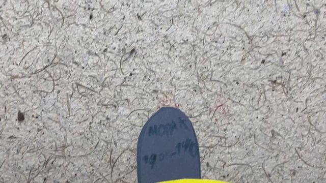 17417332116222 Почему у носорога шкура в складках?