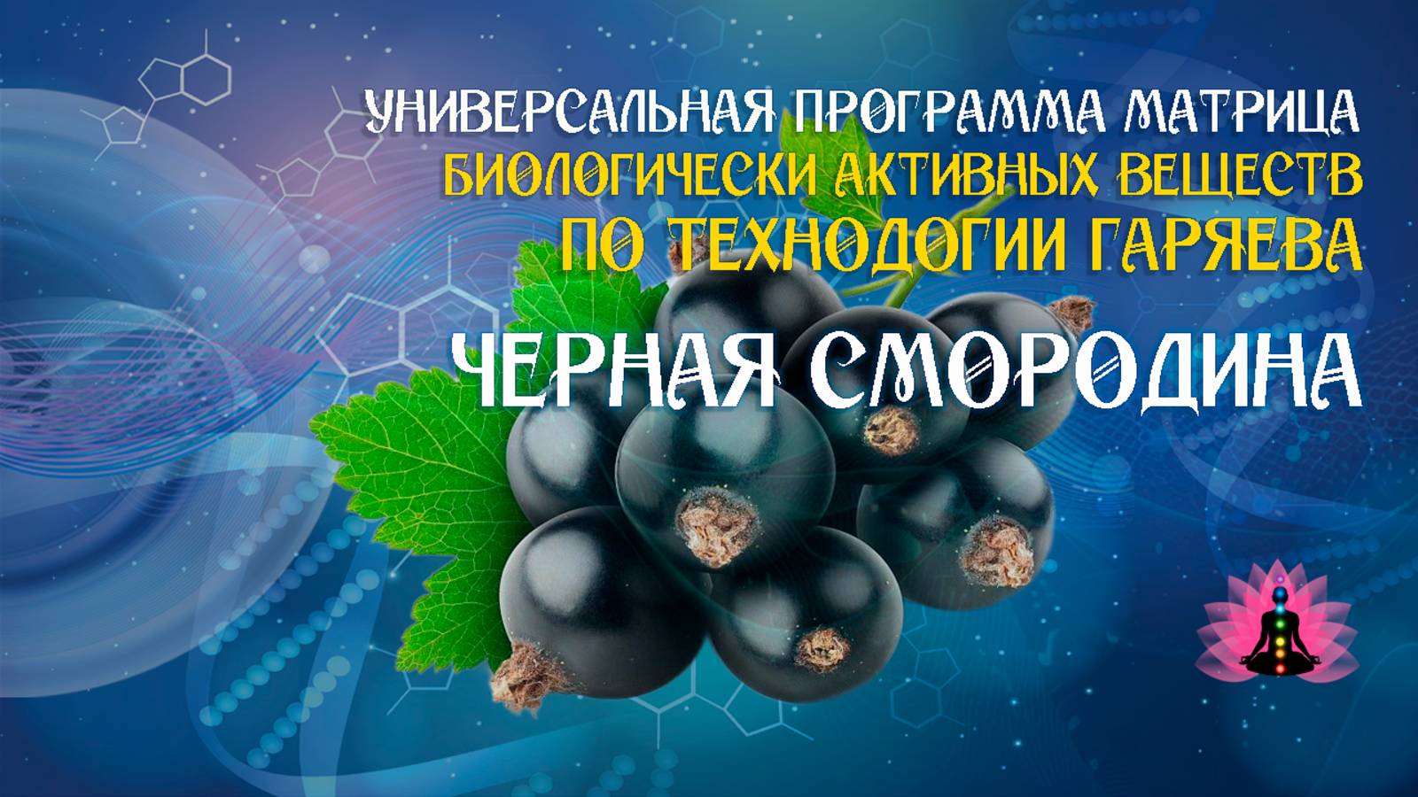 Черная смородина 🔊 программа матрица по технологии Гаряева П.П ☀️ SoftRadio.ru