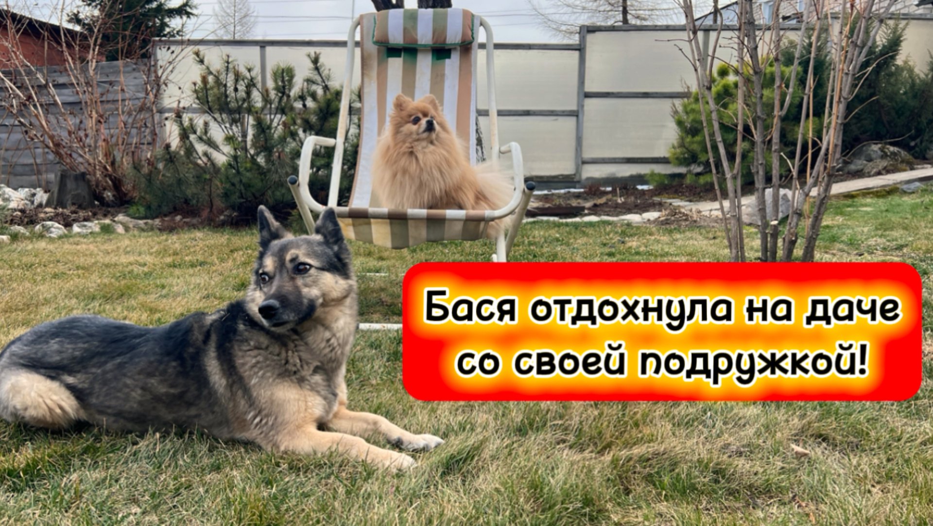 Бася отдохнула на даче со своей подружкой!