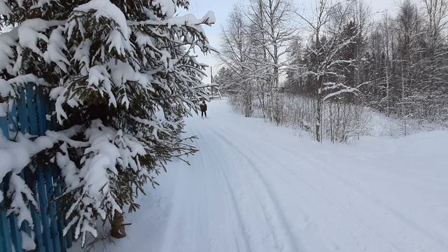 2021г.Зима Ольга дача