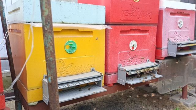 20-04-2025 Майский мёд!!!