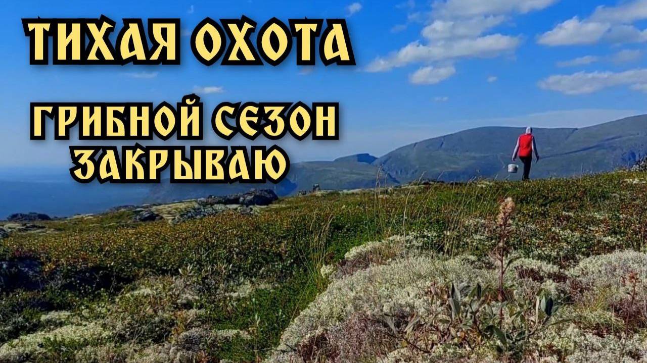 Тихая охота. Хибины. Поход за грибами. Сезон грибов закрыт.