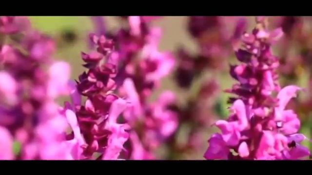 Музыка для медитации, музыка для сна, успокаивающая музыка