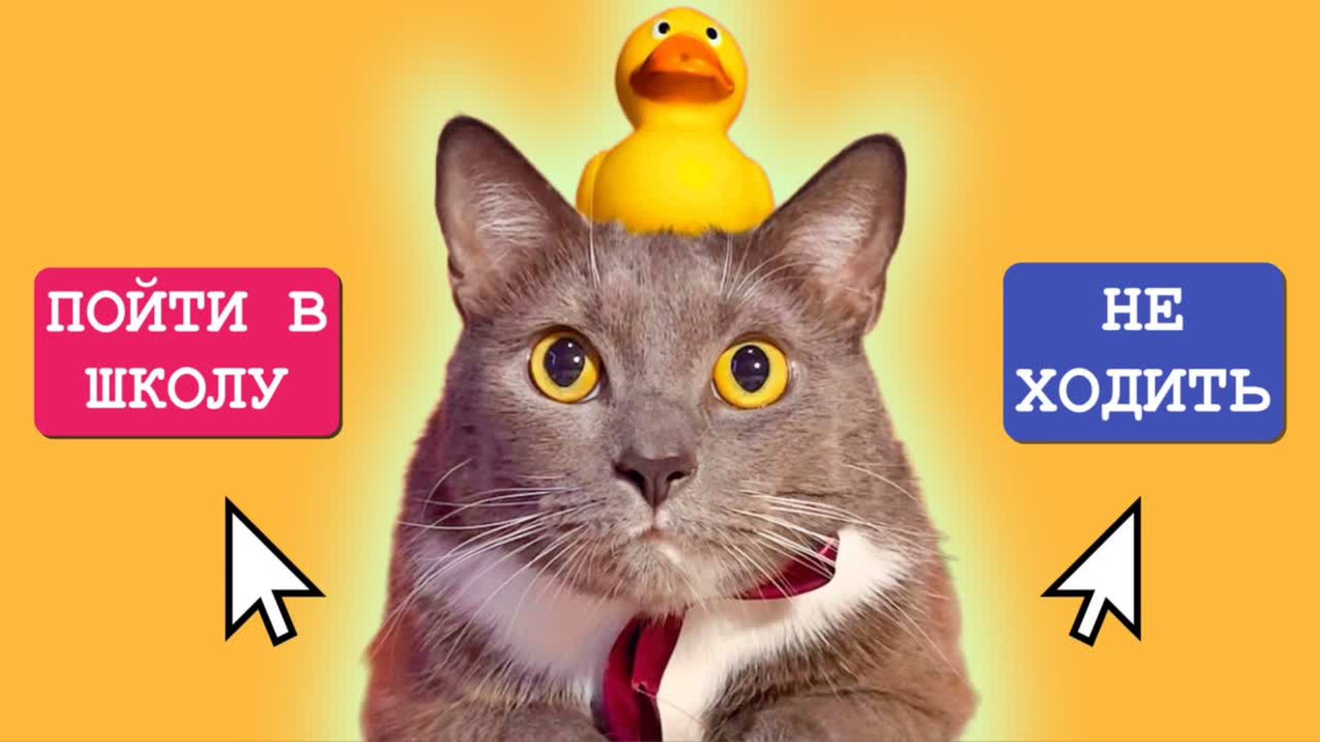 Котики в школе - Игра