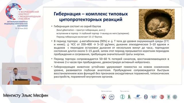 Эндогенная церебропротекция Менгисту Э.М. АиР СПб 2022