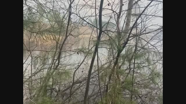 На торфах. 20.04.2025г