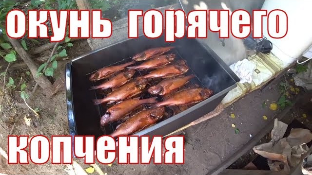 ОКУНЬ ГОРЯЧЕГО КОПЧЕНИЯ.