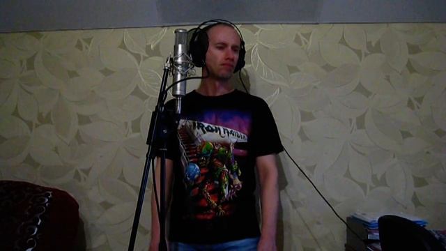 Iron Maiden - Aces high (vocal cover)