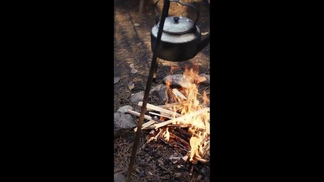 ☕Почему вредно пить горячий чай.