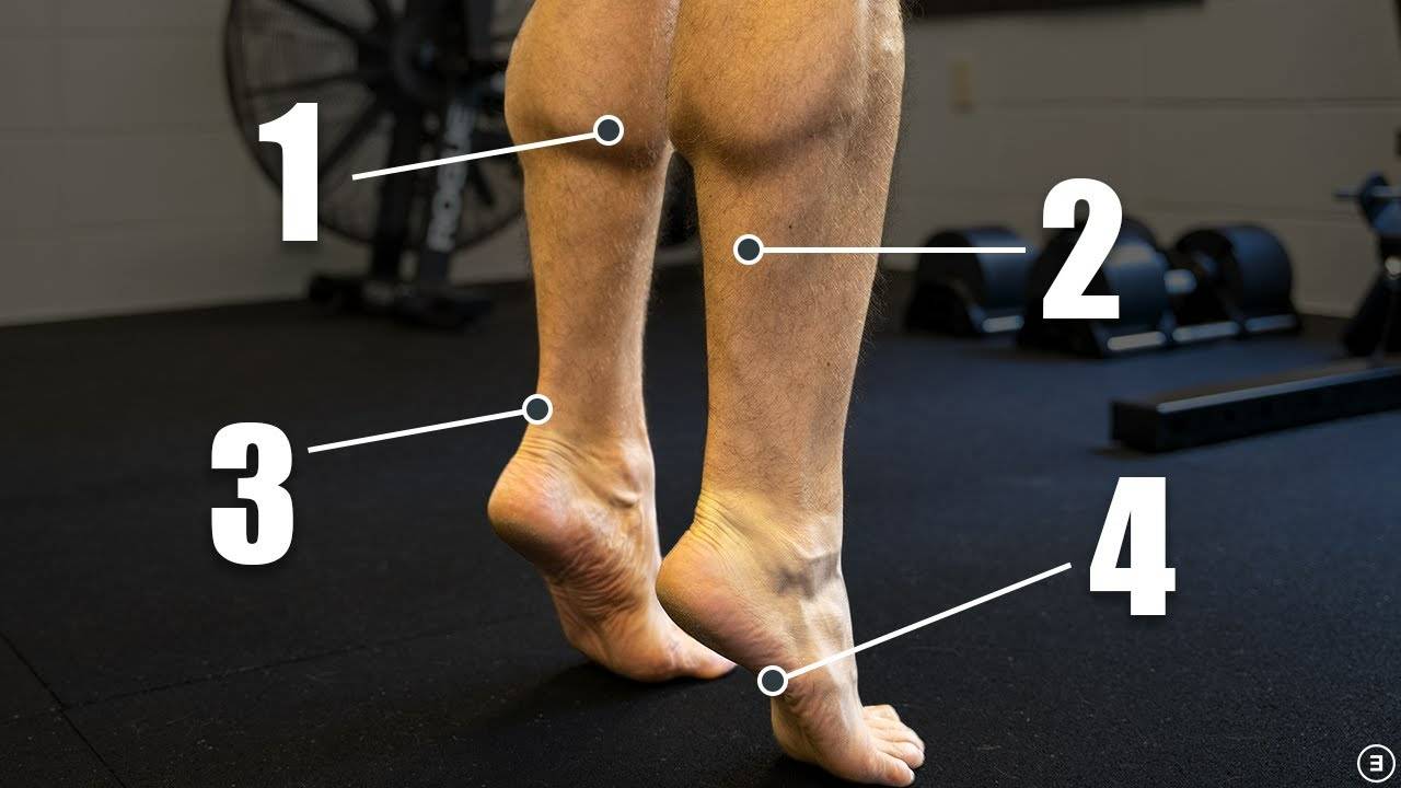 Chronic Ankle Instability ¦ Recurrent Lateral Sprains (Strength ¦ Plyometrics ¦ Balance Exercises)