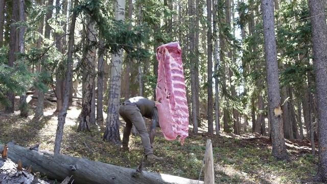 🎬 Первобытные технологии: ребра против каменных наконечников стрел.