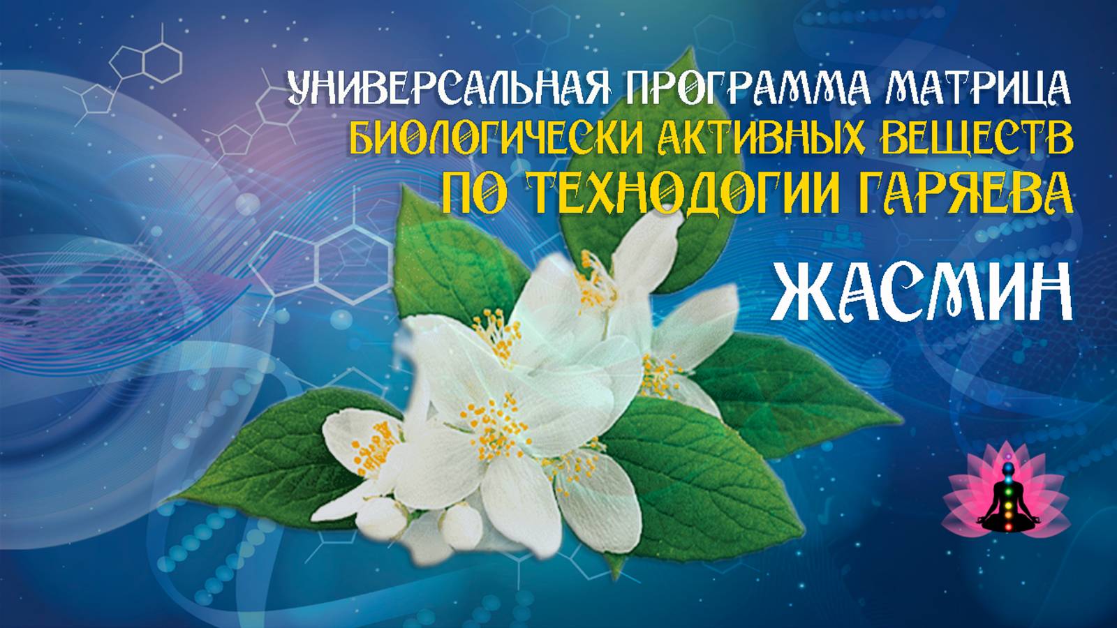 Жасмин 🔊 программа матрица по технологии Гаряева П.П ☀️ SoftRadio.ru