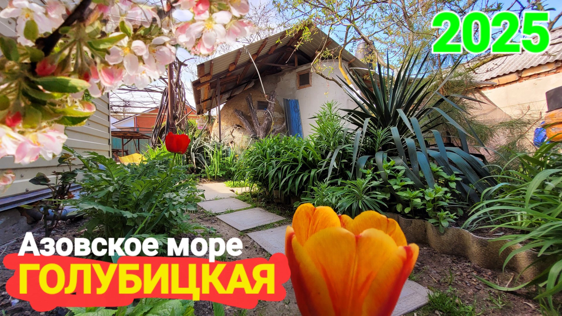 Жизнь в деревенском раю у моря! Это просто мечта! Весна 2025 Всех с праздником Пасхи