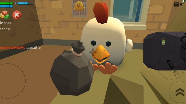 что происходит на кошачьих серверах 2 часть