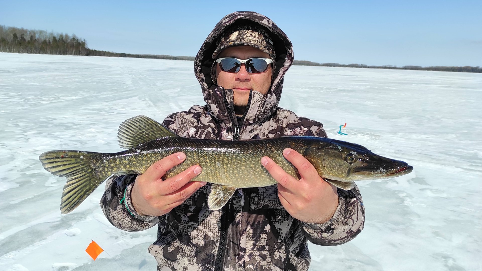 ЩУКА на жерлицы и ОКУНЬ на мормышку.