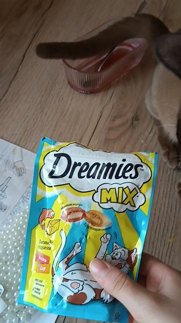 Я спалила своего кота на покушение упаковки с вкусняшками! 🤨😨🤭🤫