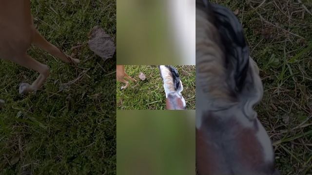 продолжение 3 сезон 7 серия