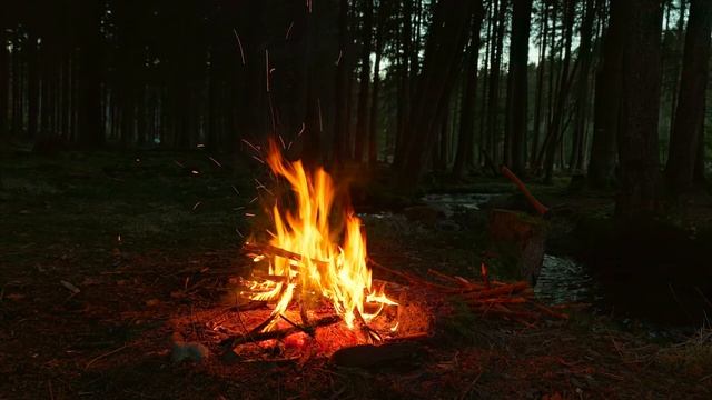 📺 Уютный вечерний костер у ручья — аутентичная лесная атмосфера