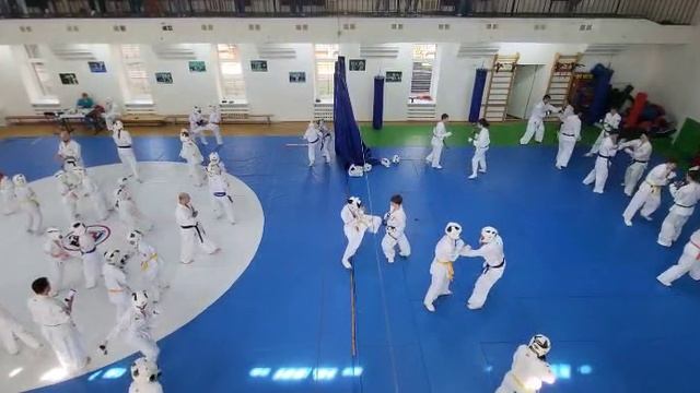 20-04-2025 (Путь самурая 50/50)