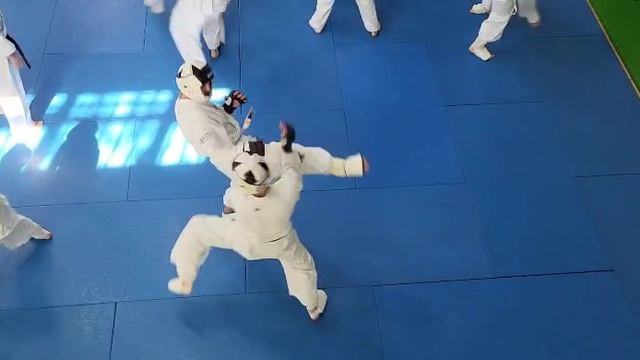 20-04-2025 (Путь самурая 50/50)