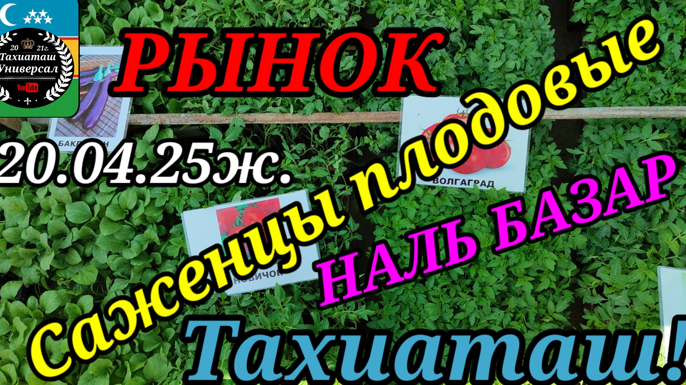 20-04-2025 САЖЕНЦЫ