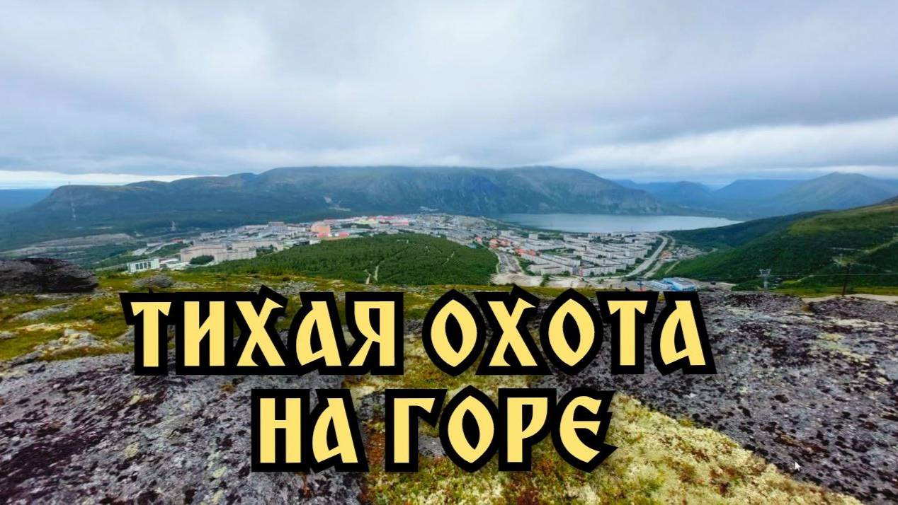 Тихая охота. Хибины. Идем с семьей на горы за грибами.