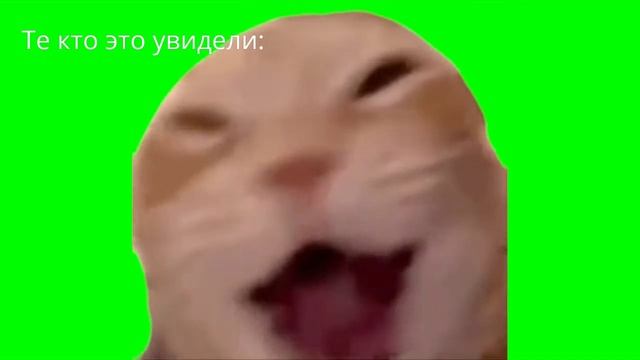 Пов: случайно снял на видео как retray был пройден на 66%