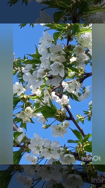 Доброго чудесного утра!🙏