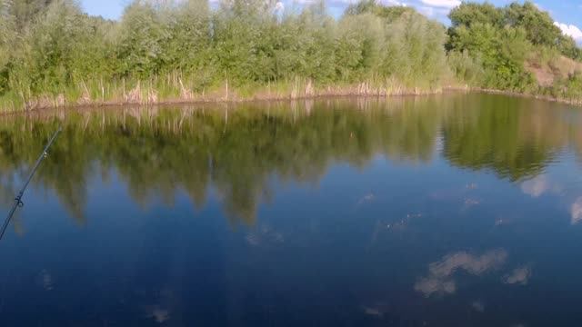 вечерняя прогулка с женой