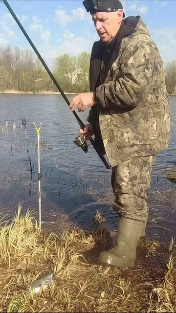 А он нарисовался