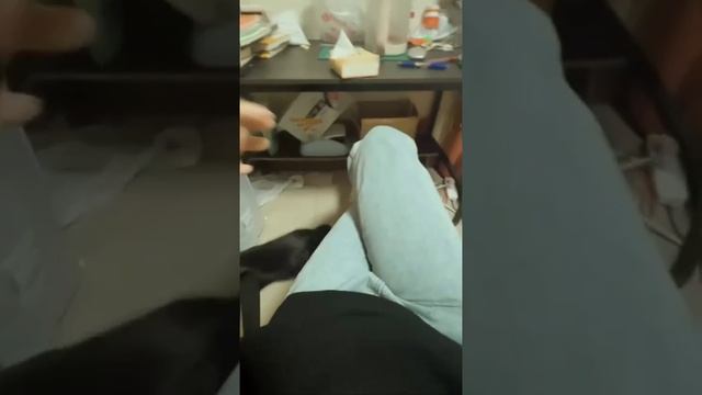 Вот вредители!