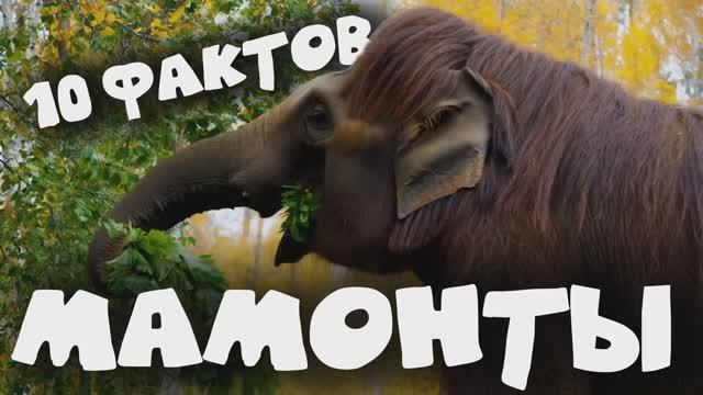 10 Удивительных Фактов о Мамонтах | Нейросетевая анимация + Научный ликбез для детей и взрослых
