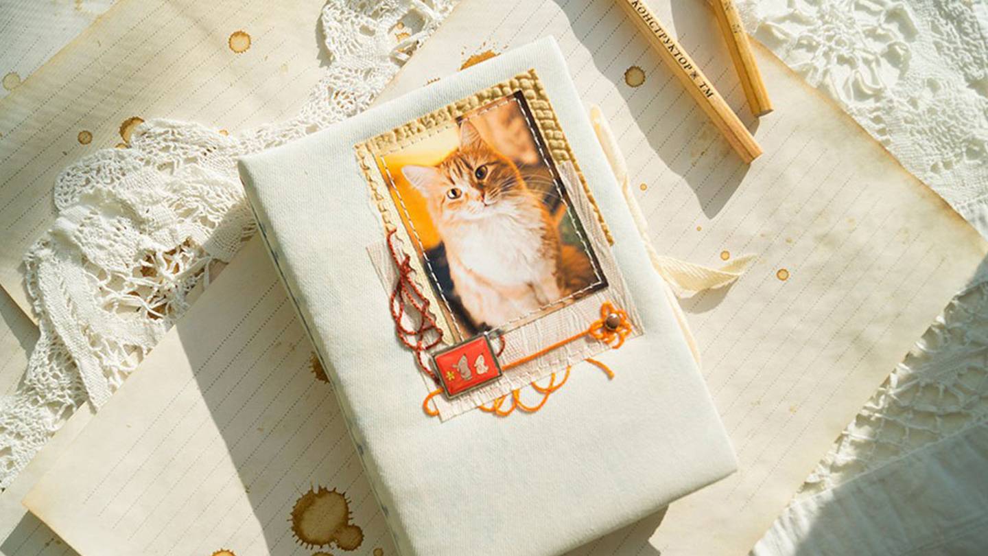 DIY | БЛОКНОТ РУЧНОЙ РАБОТЫ "БАРСИК" | РАЗЛИНОВАННЫЙ | С КОТИКОМ | СКРАПБУКИНГ