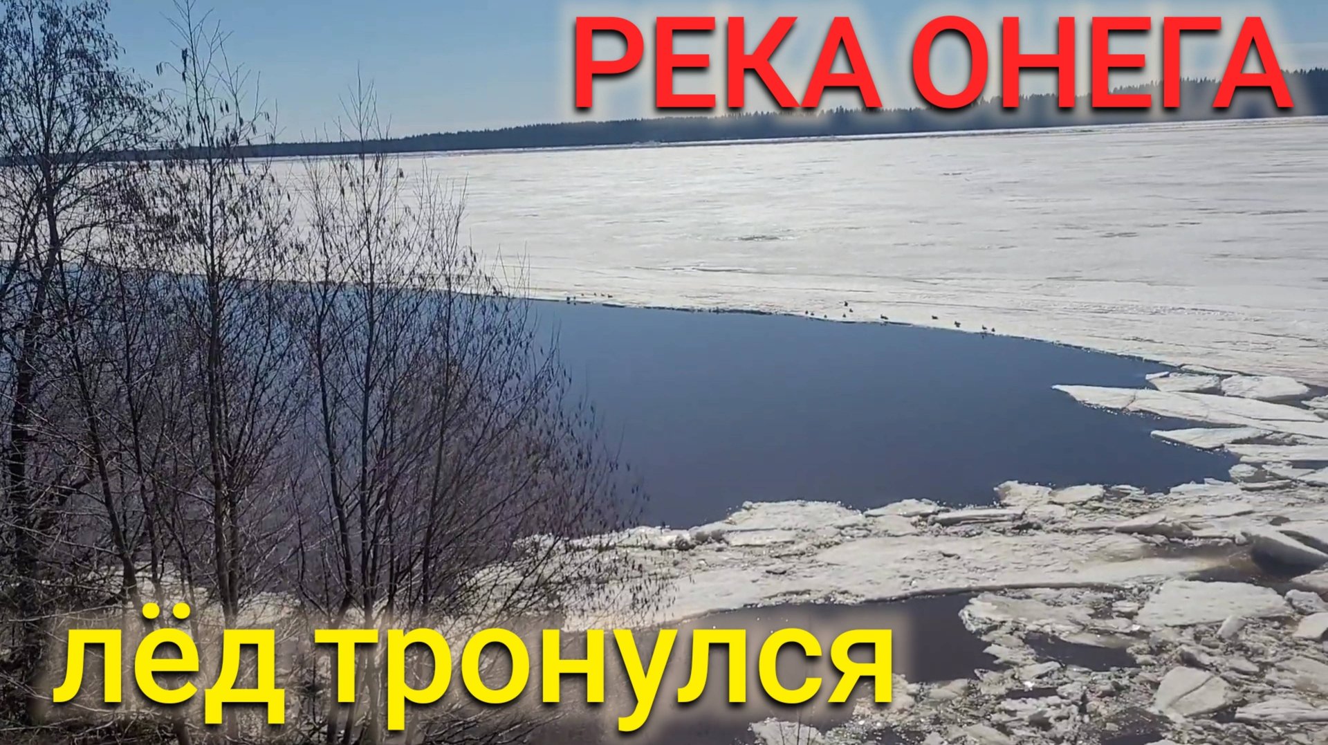 РЕКА ОНЕГА ЛЕДОХОД