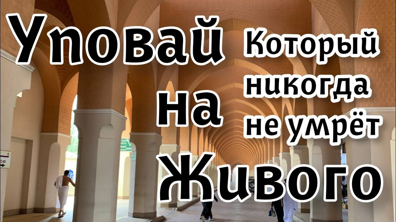 Уповай на Живого, который никогда не умрёт!