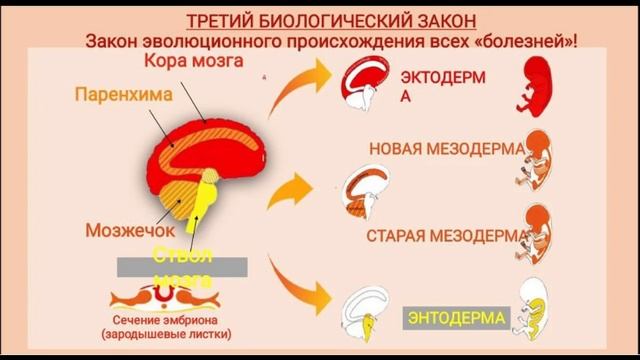 Новая германская медицина.